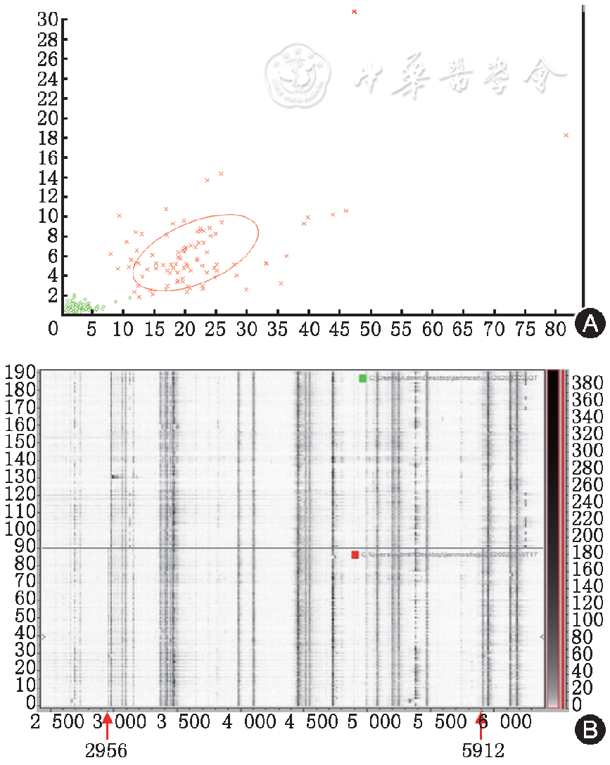 ST17型B组链球菌MALDI-TOF MS快速鉴定模型的建立