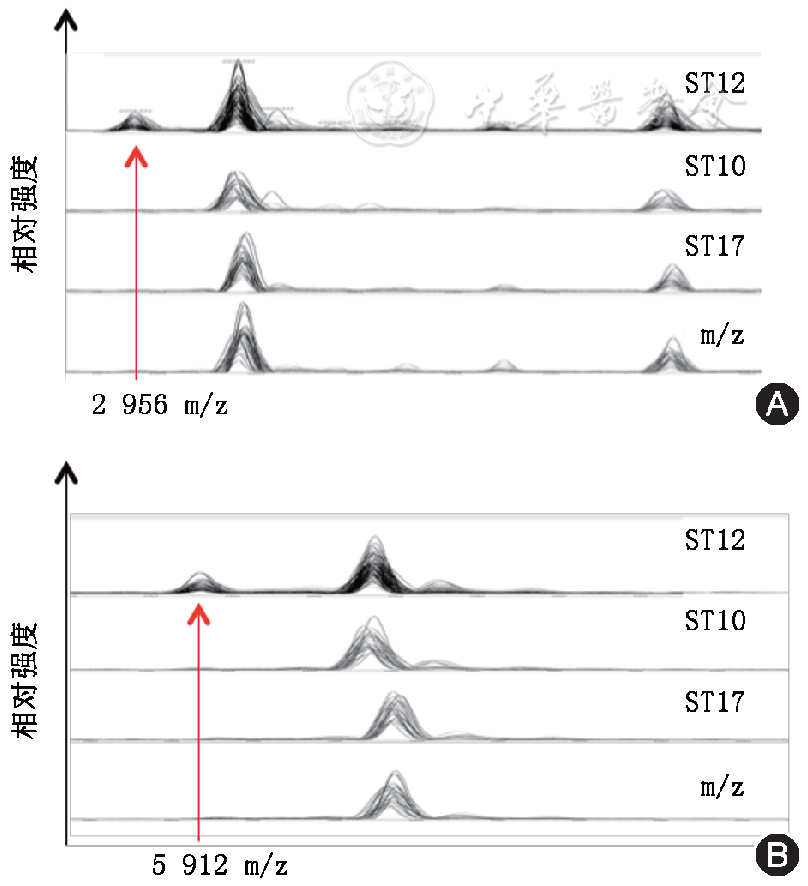 ST17型B组链球菌MALDI-TOF MS快速鉴定模型的建立